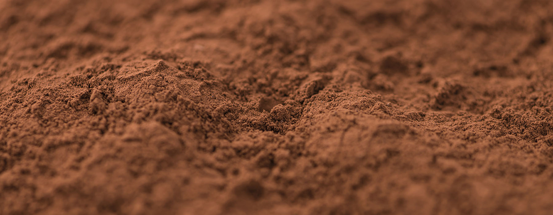 Cocoa powder(close-up shot) for use as background image or as texture